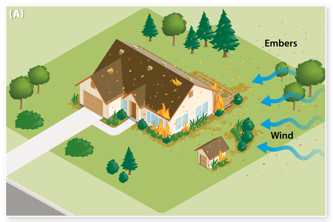Zone 0’s Last Stand: Sacramento Hearing Sets the Stage for October 10 ...